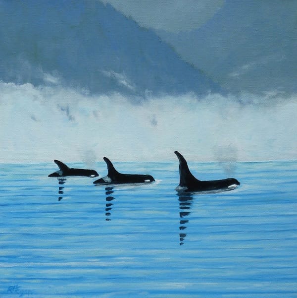 'Orca Morning Mist' - ROB EGAN | City of Pitt Meadows