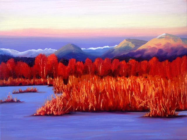 Sunset on the Frozen Pond (Colony Farm) | City of Pitt Meadows