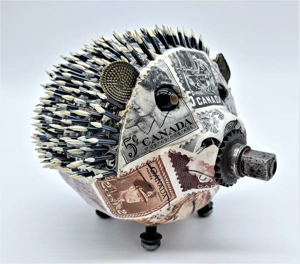 Canadian Hedgehog | City of Pitt Meadows